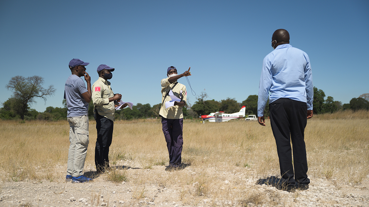 MAF assists the HALO Trust with new demining project in Angola ...