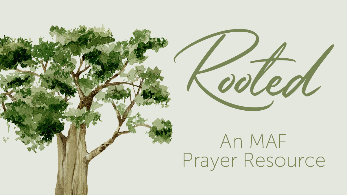 Rooted | Your 10-day prayer journey - Mission Aviation Fellowship